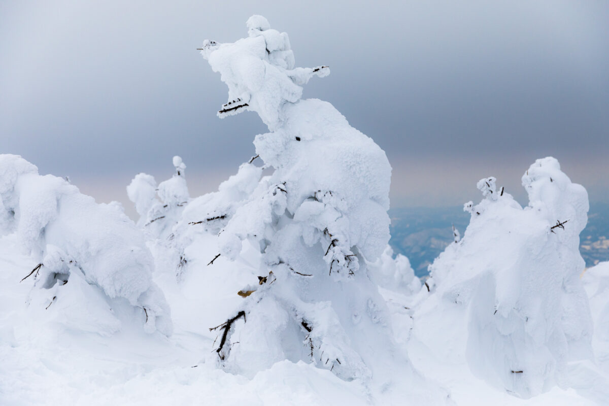 The Snow Monsters of Mount Zao | Offbeat Japan