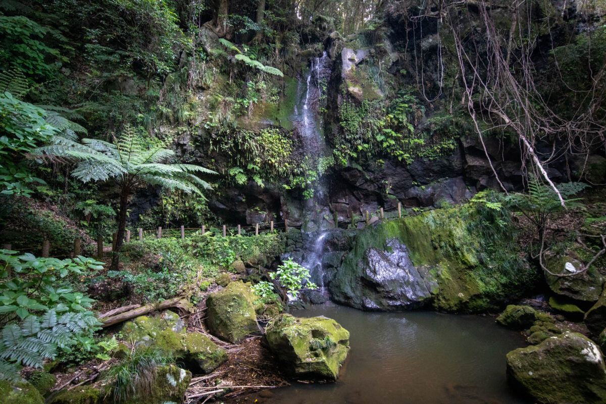 Serene Backside View of Uramigataki Waterfall in Lush Forest | Offbeat ...