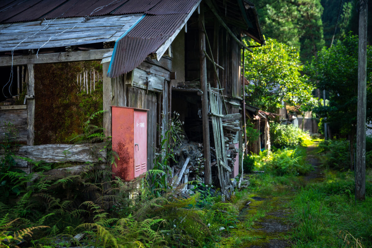 Natures Embrace: An Abandoned Rustic Cabins Rebirth | Offbeat Japan