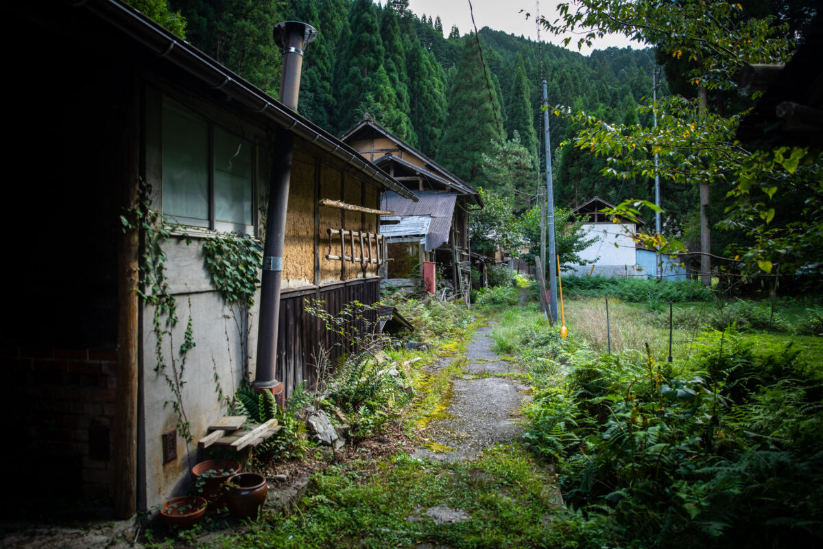 Hidden Gem: A Serene Rural Village in Japans Countryside | Offbeat Japan