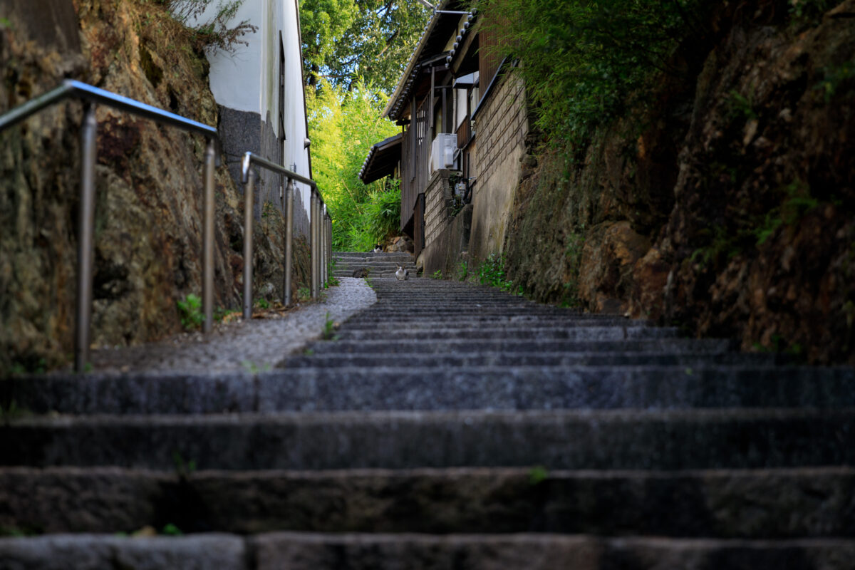 Tomonoura: Stone Steps Through a Traditional Japanese Town | Offbeat Japan