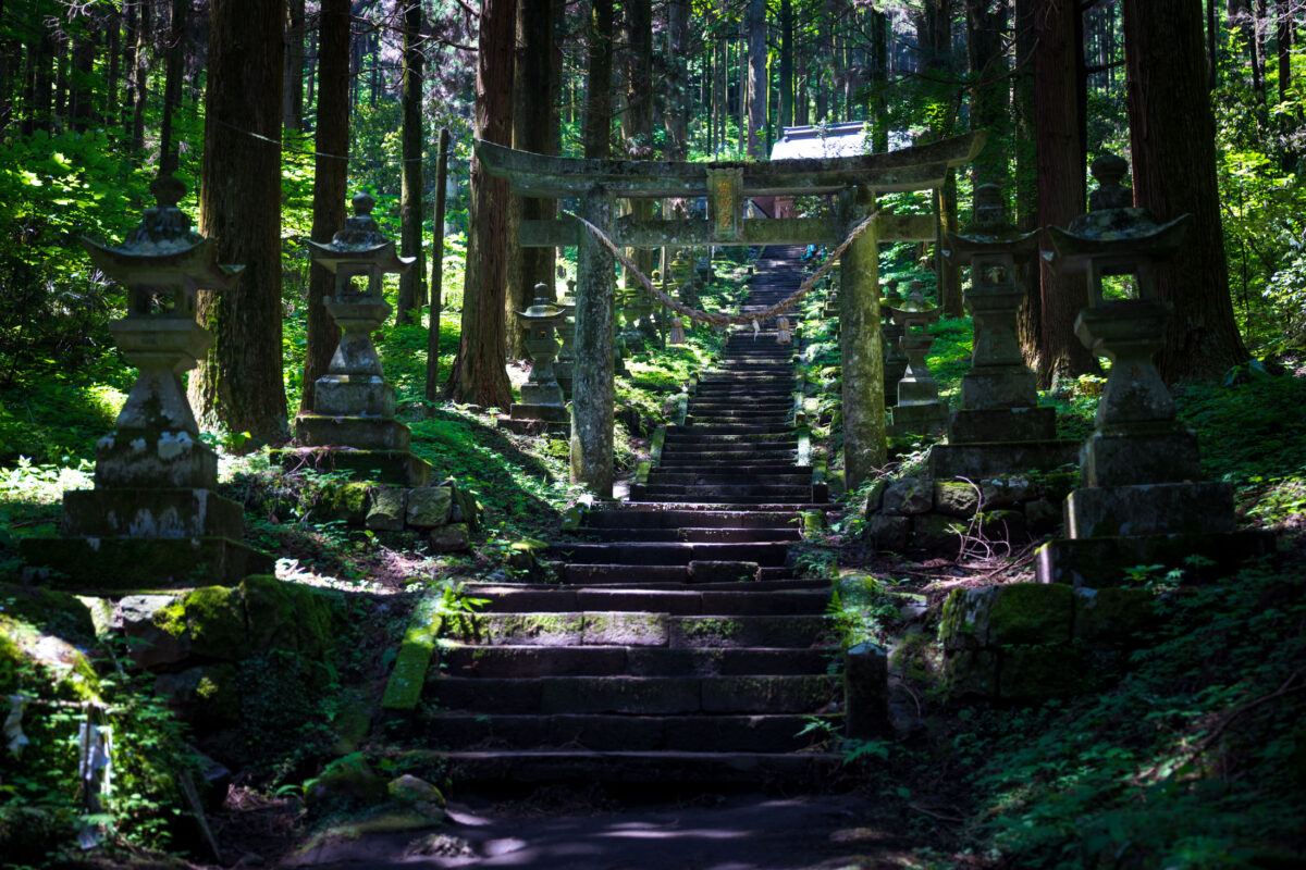 Serene Shinto Shrine: A Spiritual Power Spot in Ancient Forest ...