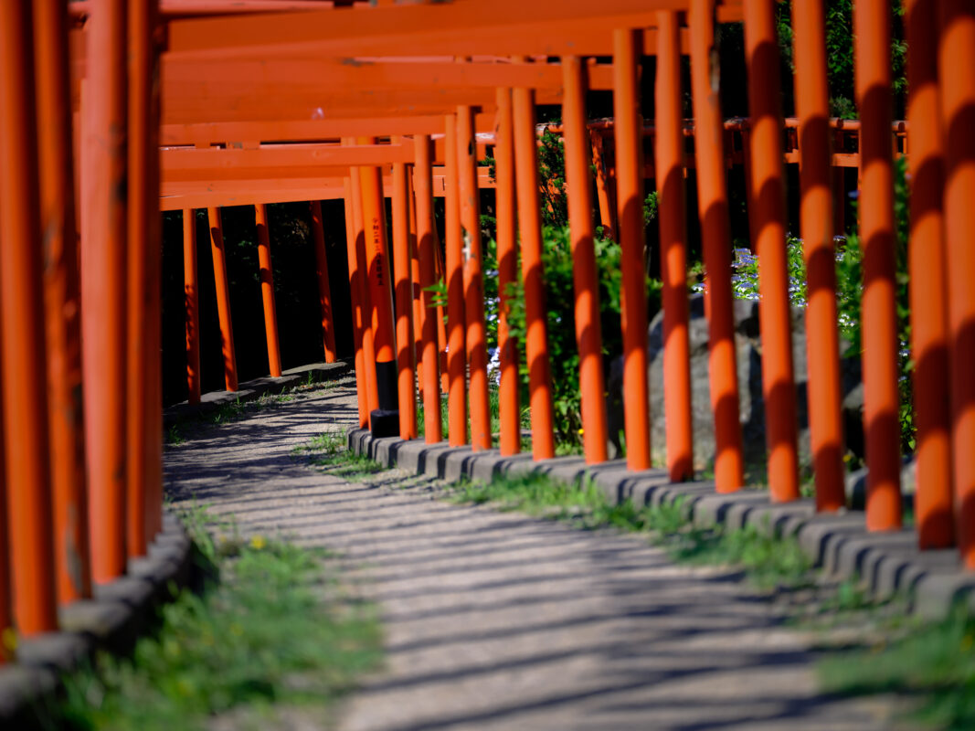 Iconic Vermillion Torii Gates at Takayama Inari Shrine, Japan | Offbeat ...