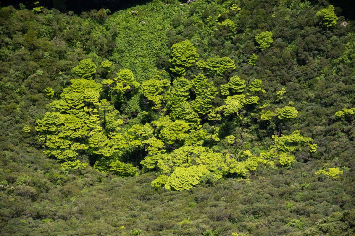 Volcanic Peak of Hachijojima: Mt. Hachijo-Fuji Towering High | Offbeat ...