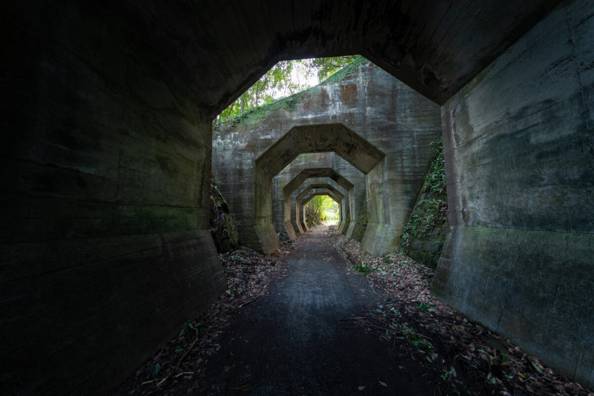 Abandoned Arched Tunnel with Overgrown Vegetation | Offbeat Japan