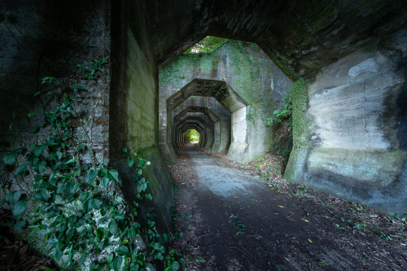 Abandoned Verdant Forest Railway Tunnel Archway | Offbeat Japan