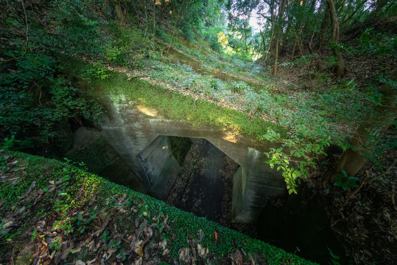Forest Pathway with Octagonal Concrete Culvert | Offbeat Japan