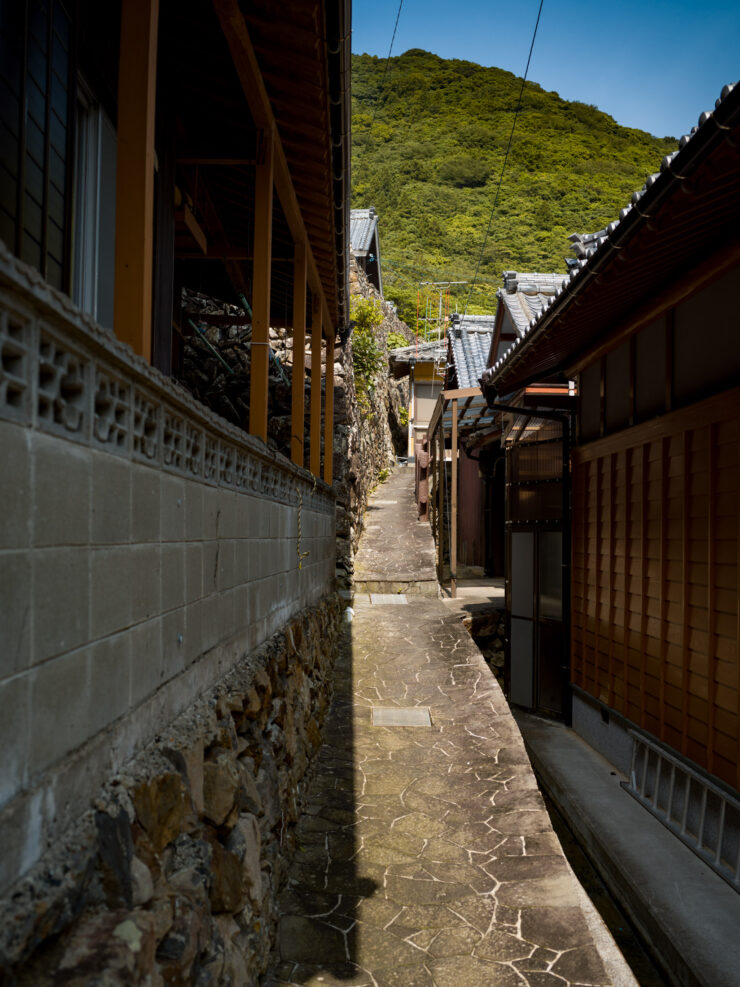 Historic Japanese Alleyway with Scenic Backdrop | Offbeat Japan