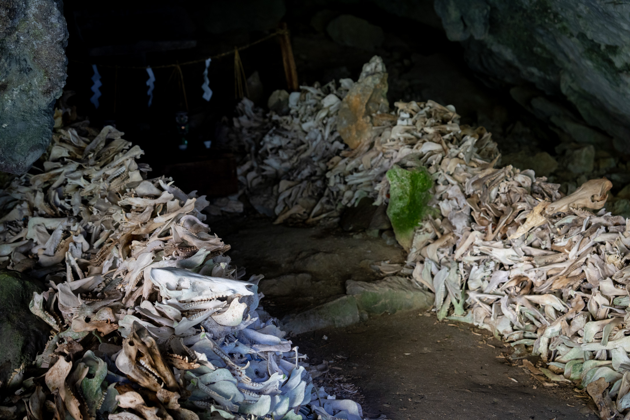 Shishi Gongen: The Sanctuary of Skulls | Offbeat Japan