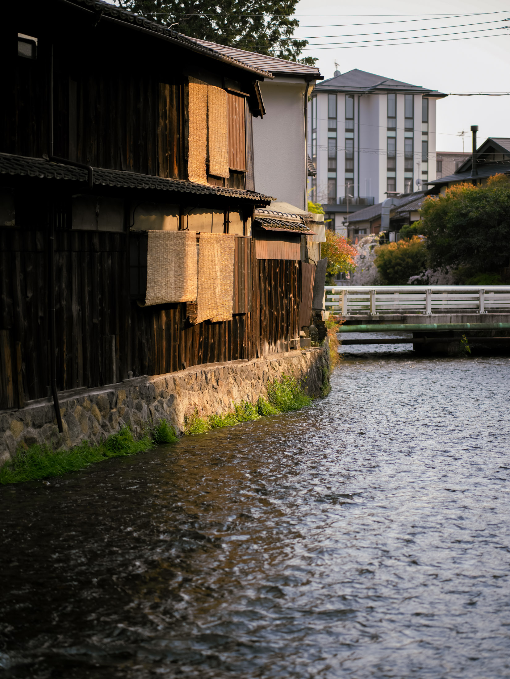 Where to Stay in Kyoto | Offbeat Japan